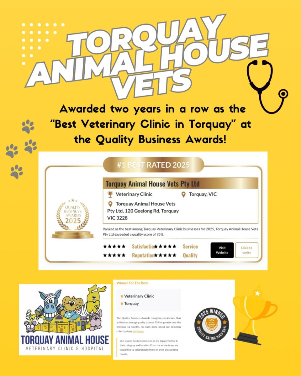 Torquay Animal House Vets: Awarded Best Veterinary Clinic in Torquay ...
